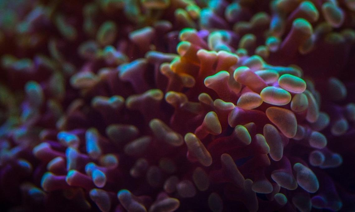 A Guide on Choosing Your GCE O Level Subject Combination