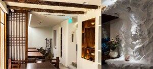 MODU | Singapore’s First Korean Ginseng Chicken Soup Specialty Restaurant